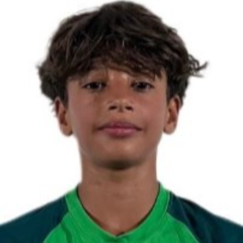 Dyson Santos - Vitória FC - Ficha e Estatísticas do Jogador