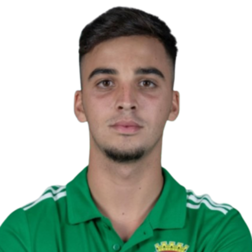 Tiago Teixeira - Alcochetense - Ficha e Estatísticas do Jogador